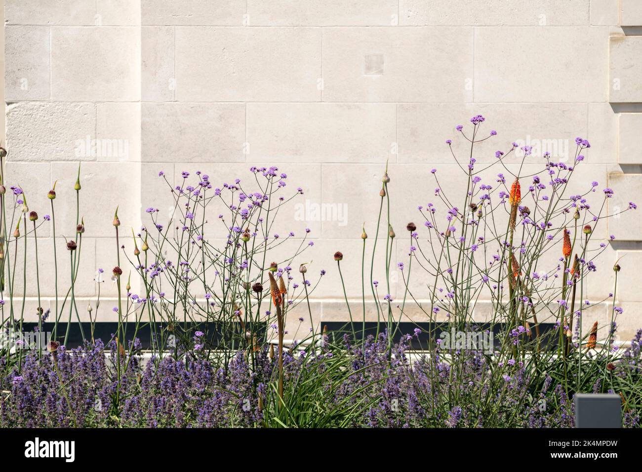 Detail view of planting. Fellowship Square, London, United Kingdom ...