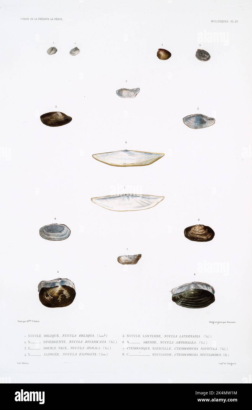 Six sided nut hi-res stock photography and images - Alamy