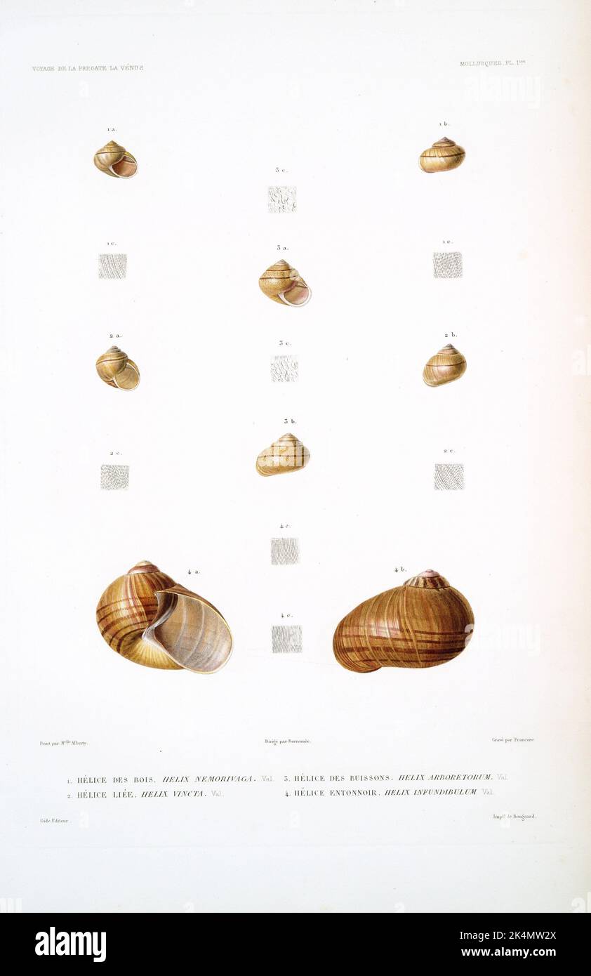 4 funnel hi-res stock photography and images - Alamy