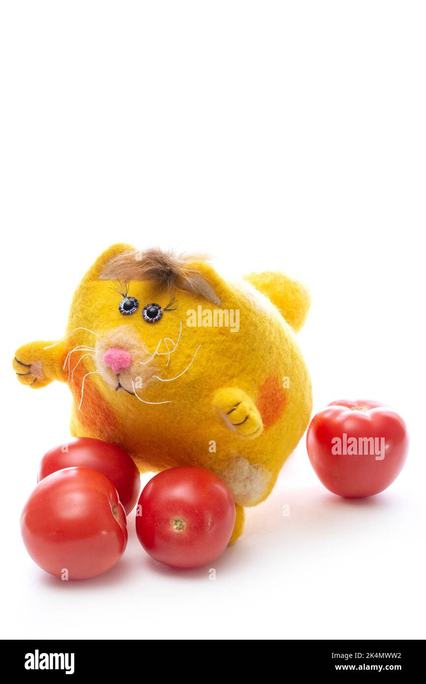 Yellow cat - soft toy made of felt wool Stock Photo - Alamy