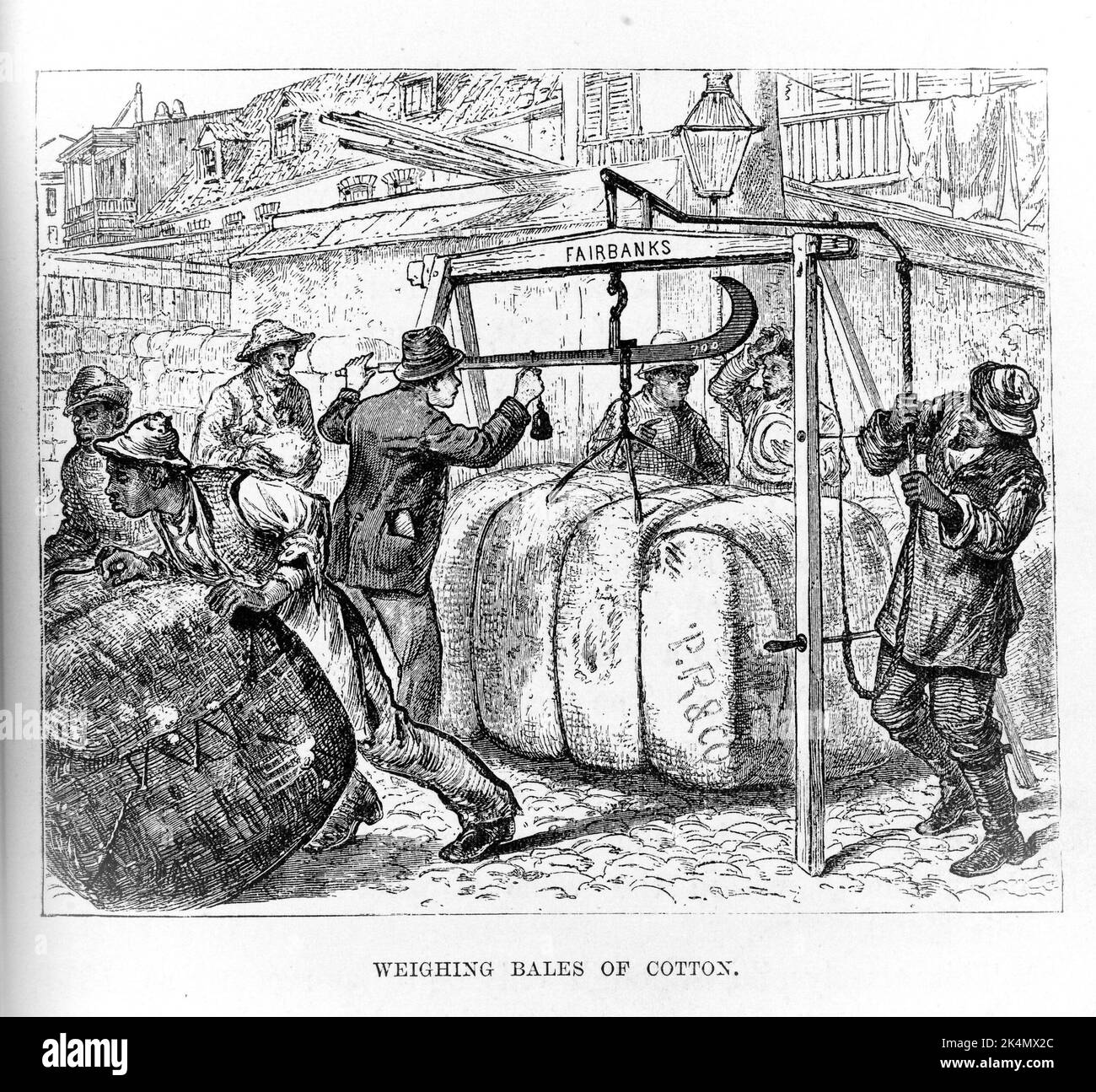 Weighing the cotton bales hi-res stock photography and images - Alamy