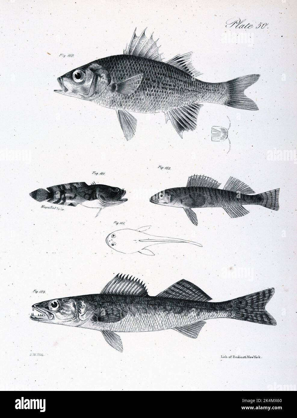 160 two hi-res stock photography and images - Alamy