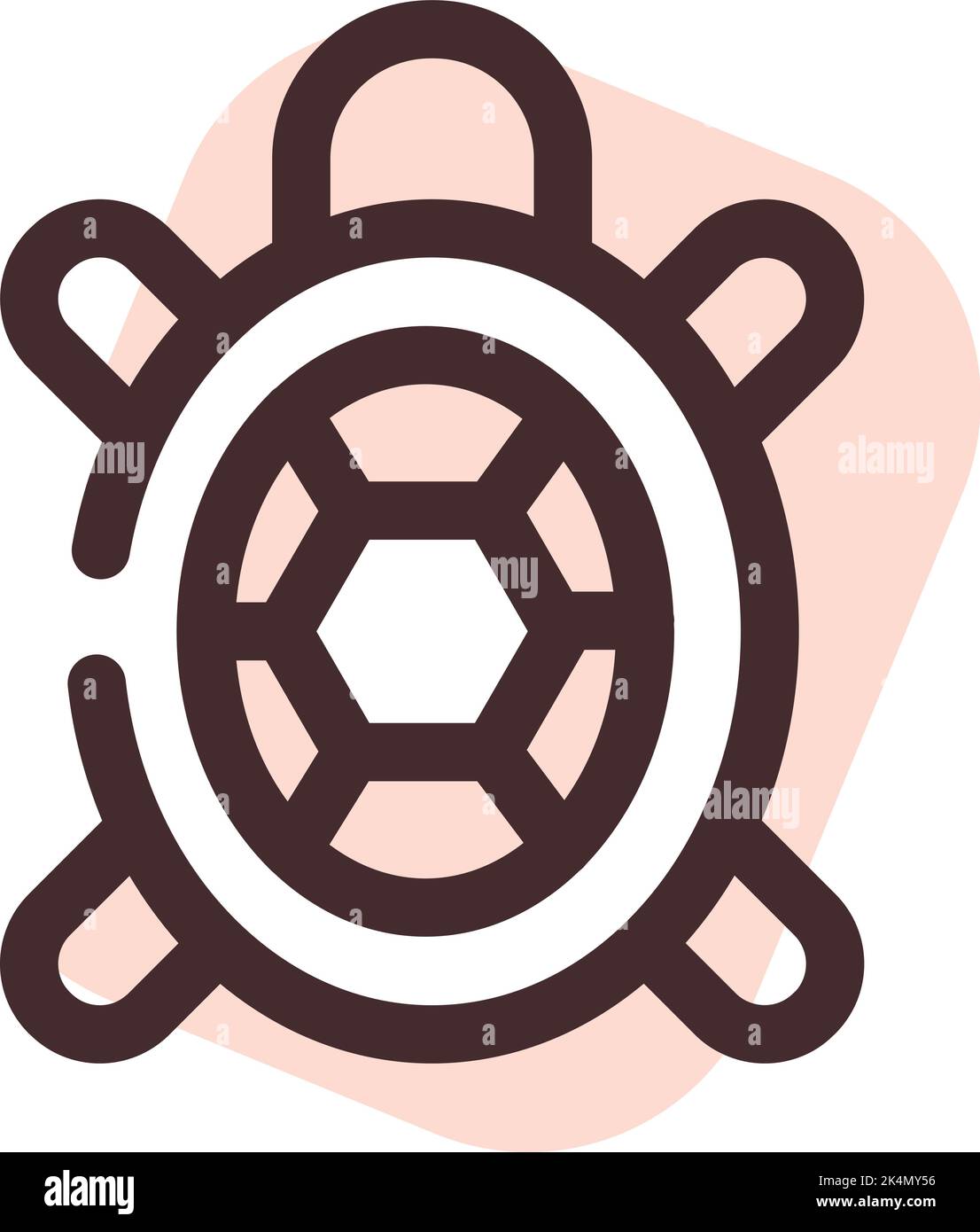 Pet turtle, illustration, vector on a white background Stock Vector ...