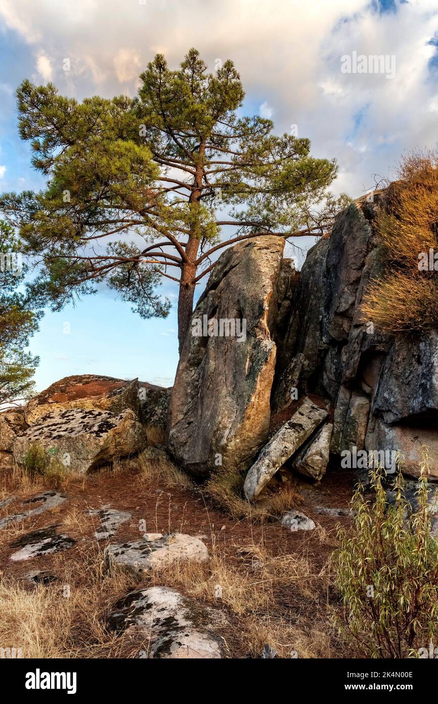 Munana hi-res stock photography and images - Alamy