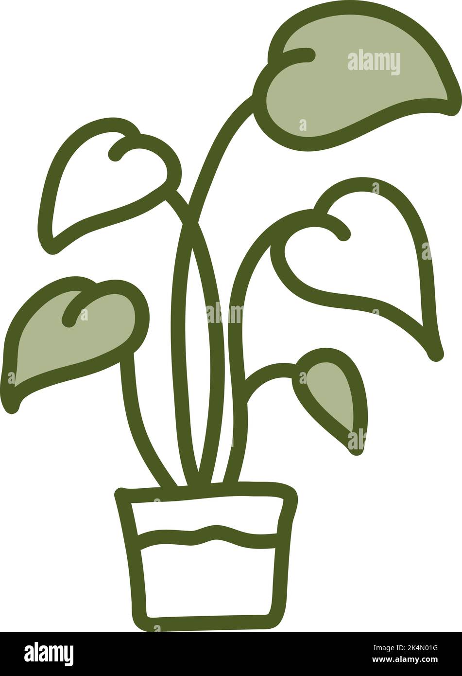 Hosta plant, illustration, vector on a white background Stock Vector ...
