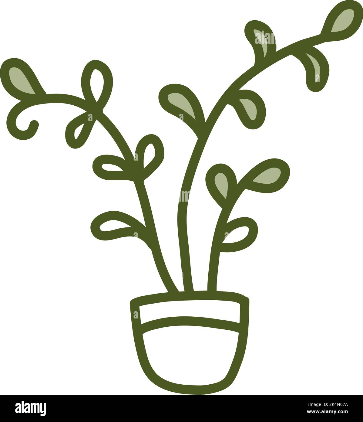 Emerald botanical Stock Vector Images - Alamy