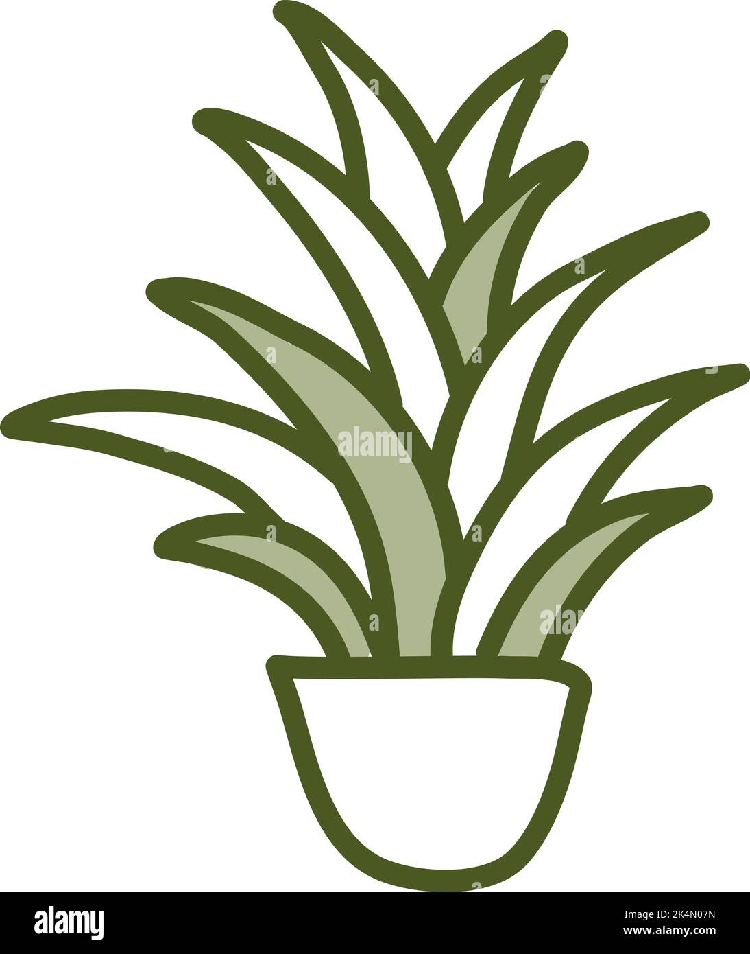 Dracaena dracaena Stock Vector Images - Alamy