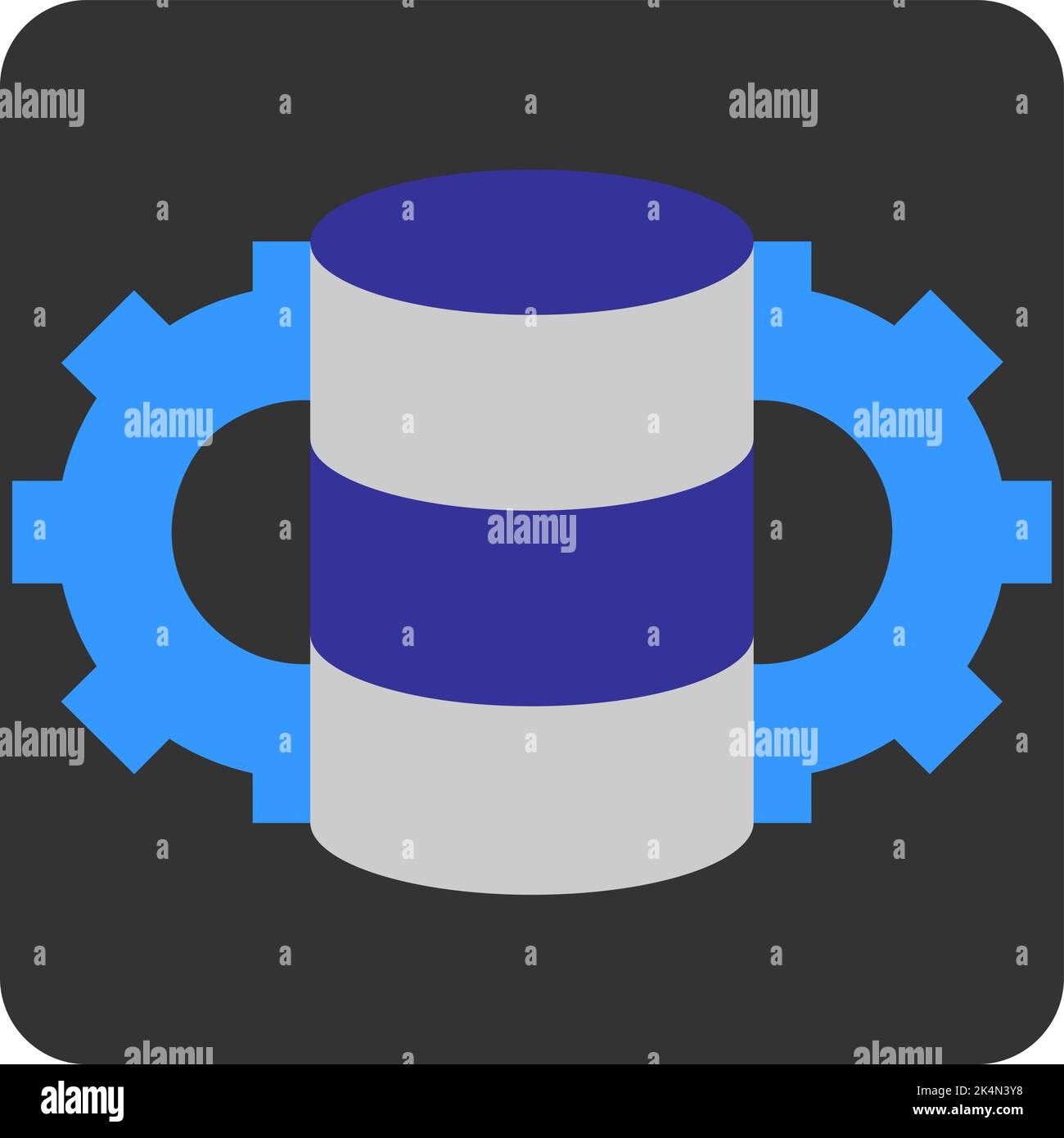Development database settings, illustration, vector on a white ...