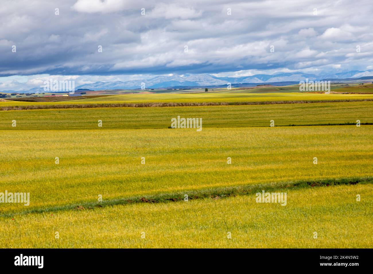 Carrion de los Condes, Castilla y Leon, Spain Stock Photo - Alamy