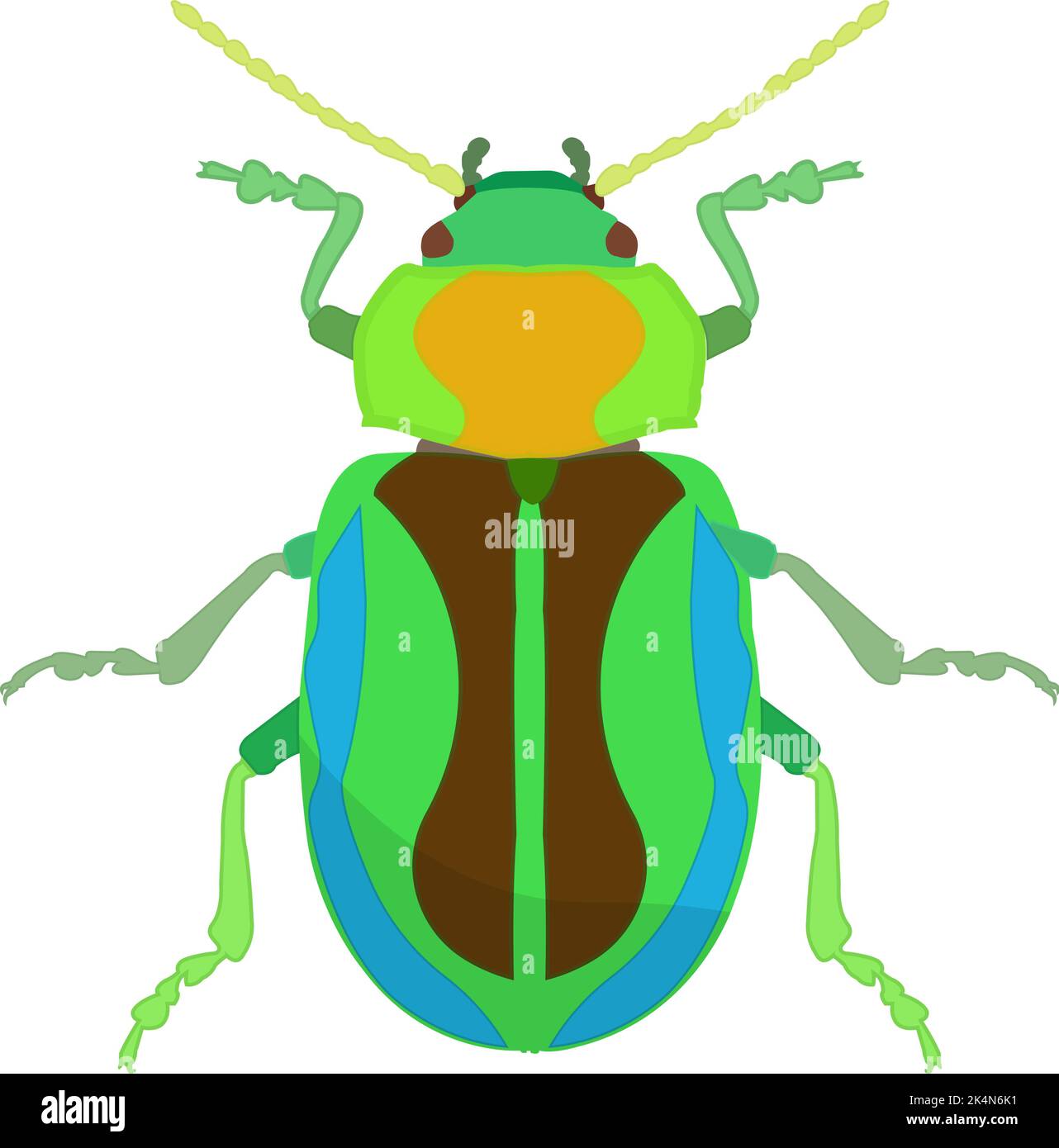 Green leaf beetle, illustration, vector on a white background Stock ...
