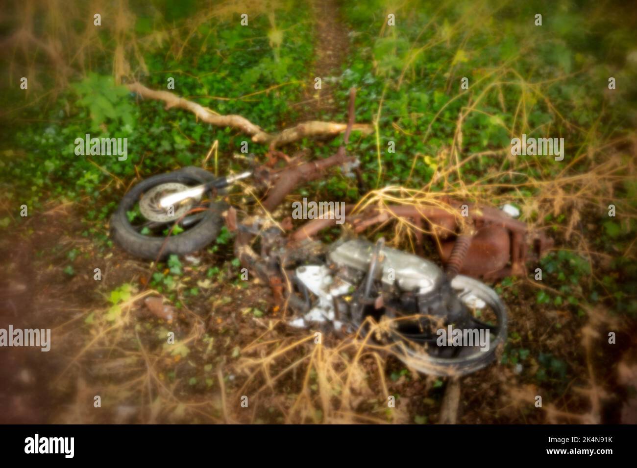 Environmental pollution and waste exemplified by motorcycle carelessly ...