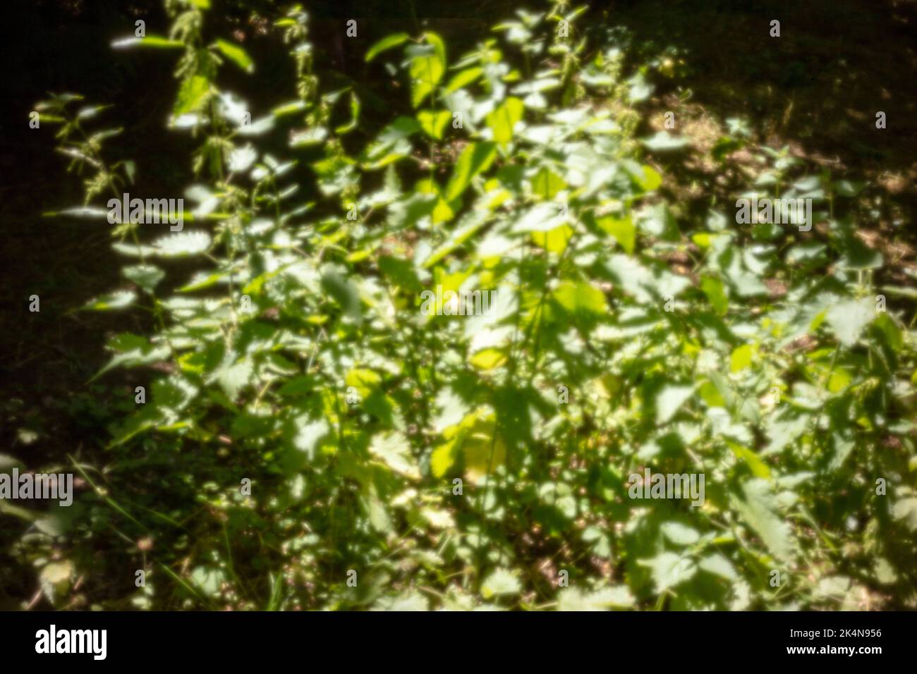 Age-defying, digital age, premium quality, eye-catching, stand-out ...