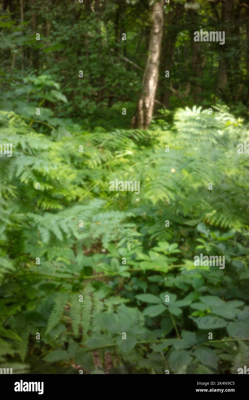 Age-defying, digital, premium, eye-catching, stand-out, high resolution ...