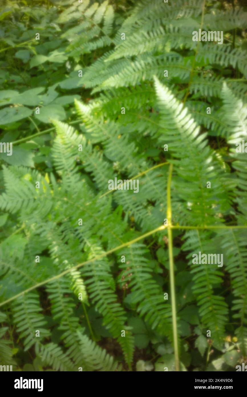 Age-defying, digital, premium, eye-catching, stand-out, high resolution ...