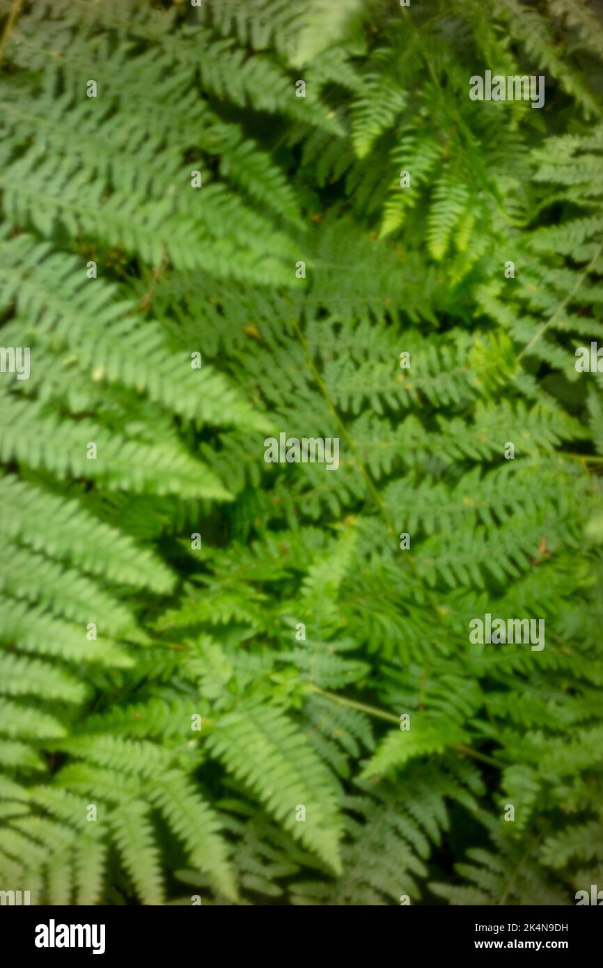 Age-defying, digital, premium, eye-catching, stand-out, high resolution ...