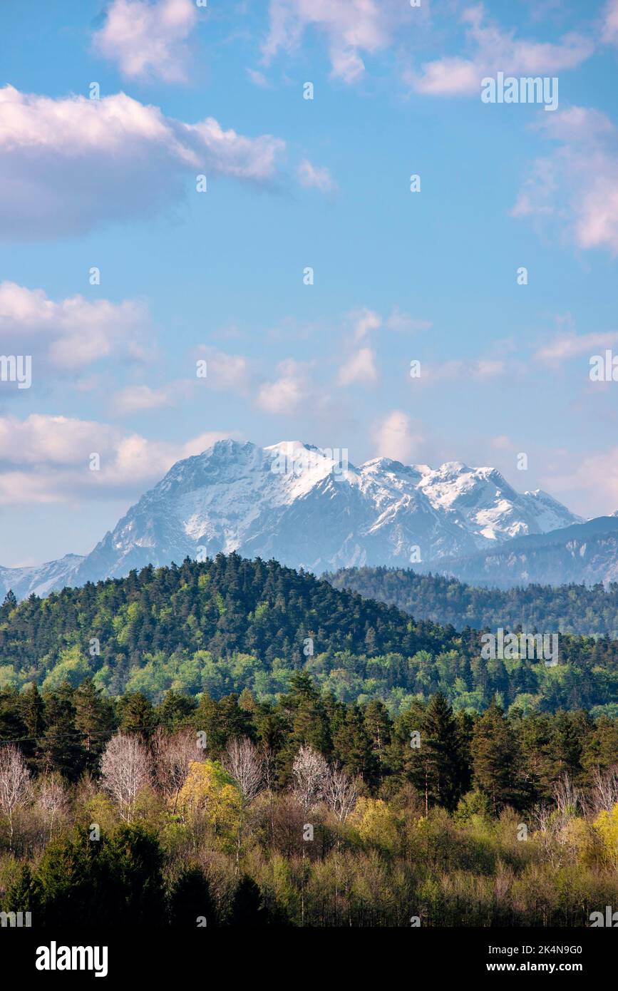 A breathtaking view of green forests in the background of a snowcapped ...