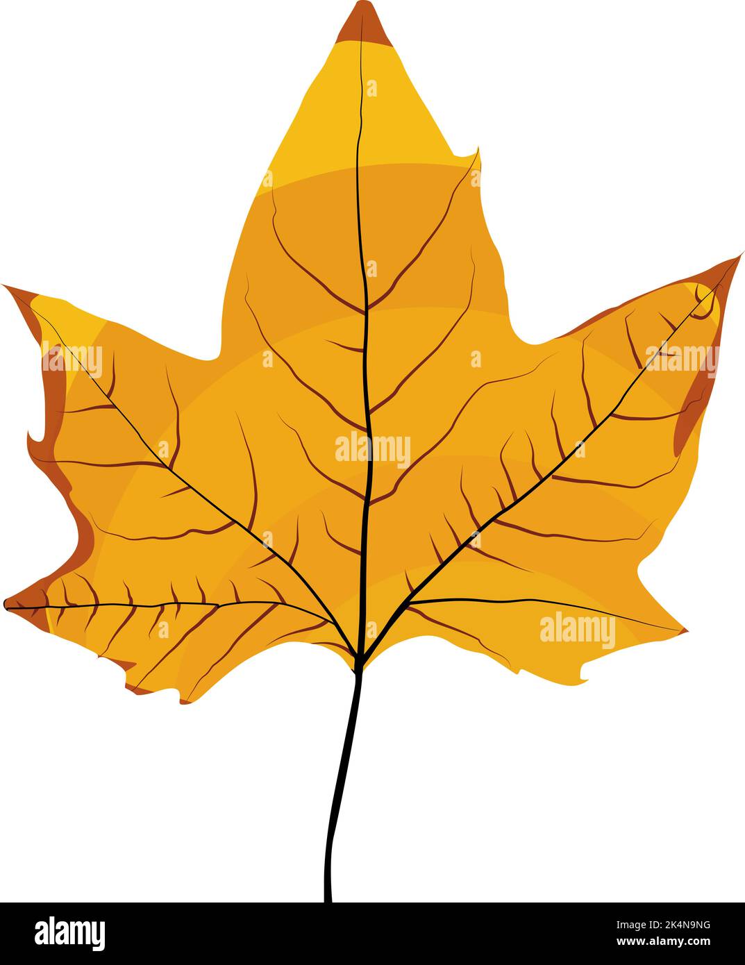 Autumn leaves banner isolated leaf Stock Vector Images - Alamy