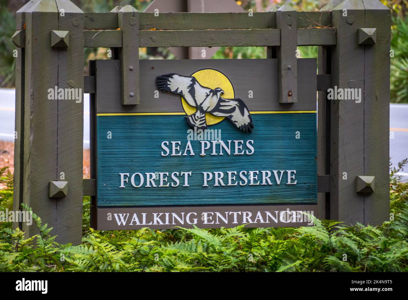 An entrance road going to Sea Pines Forest Reserve, South Caroli Stock ...