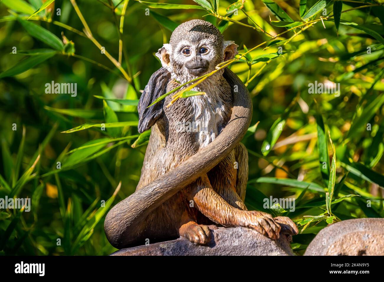 A bright and colorful expansive zoo with 4 zones in Reid Park Zo Stock ...