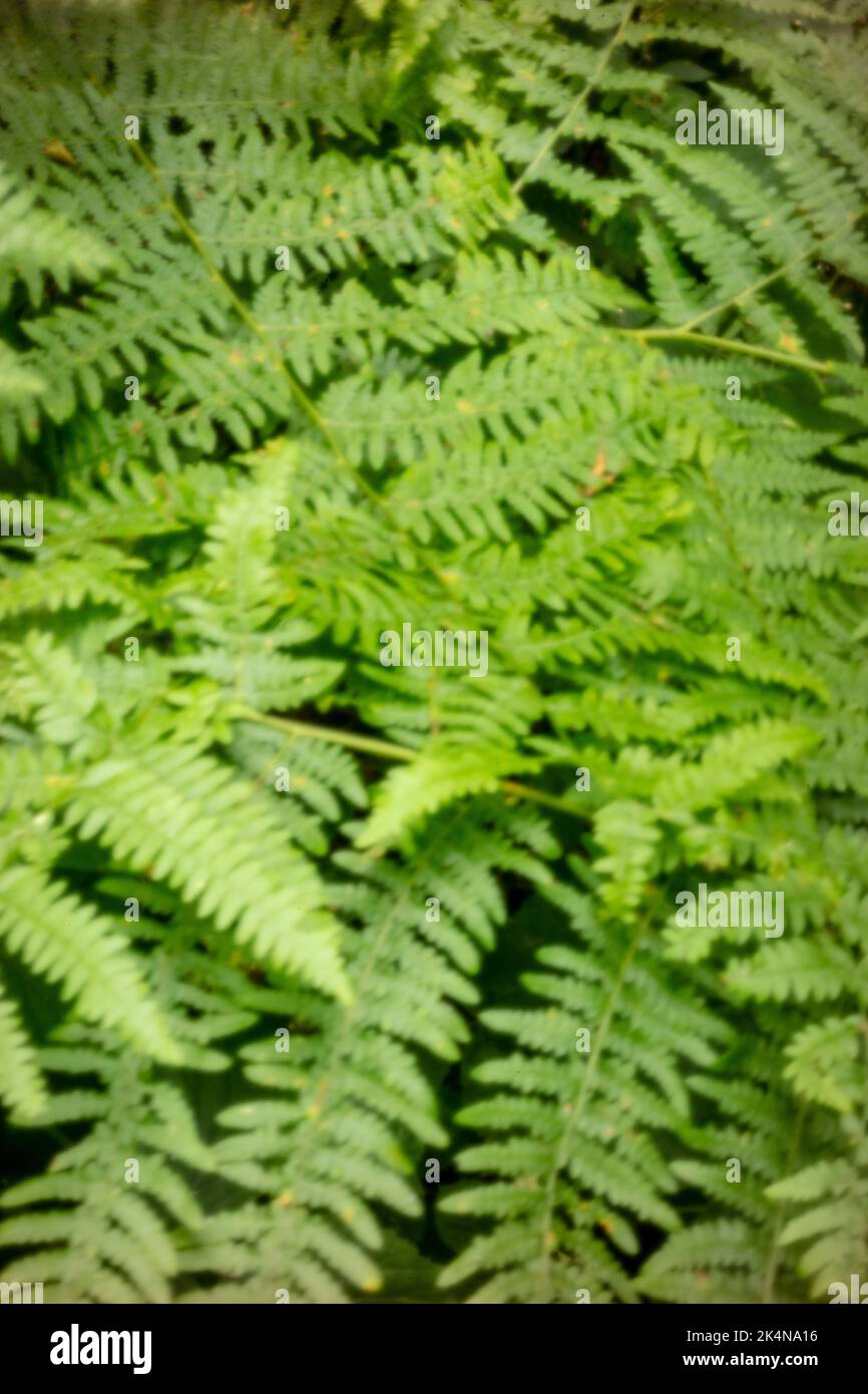 Age-defying, digital, premium, eye-catching, stand-out, high resolution ...