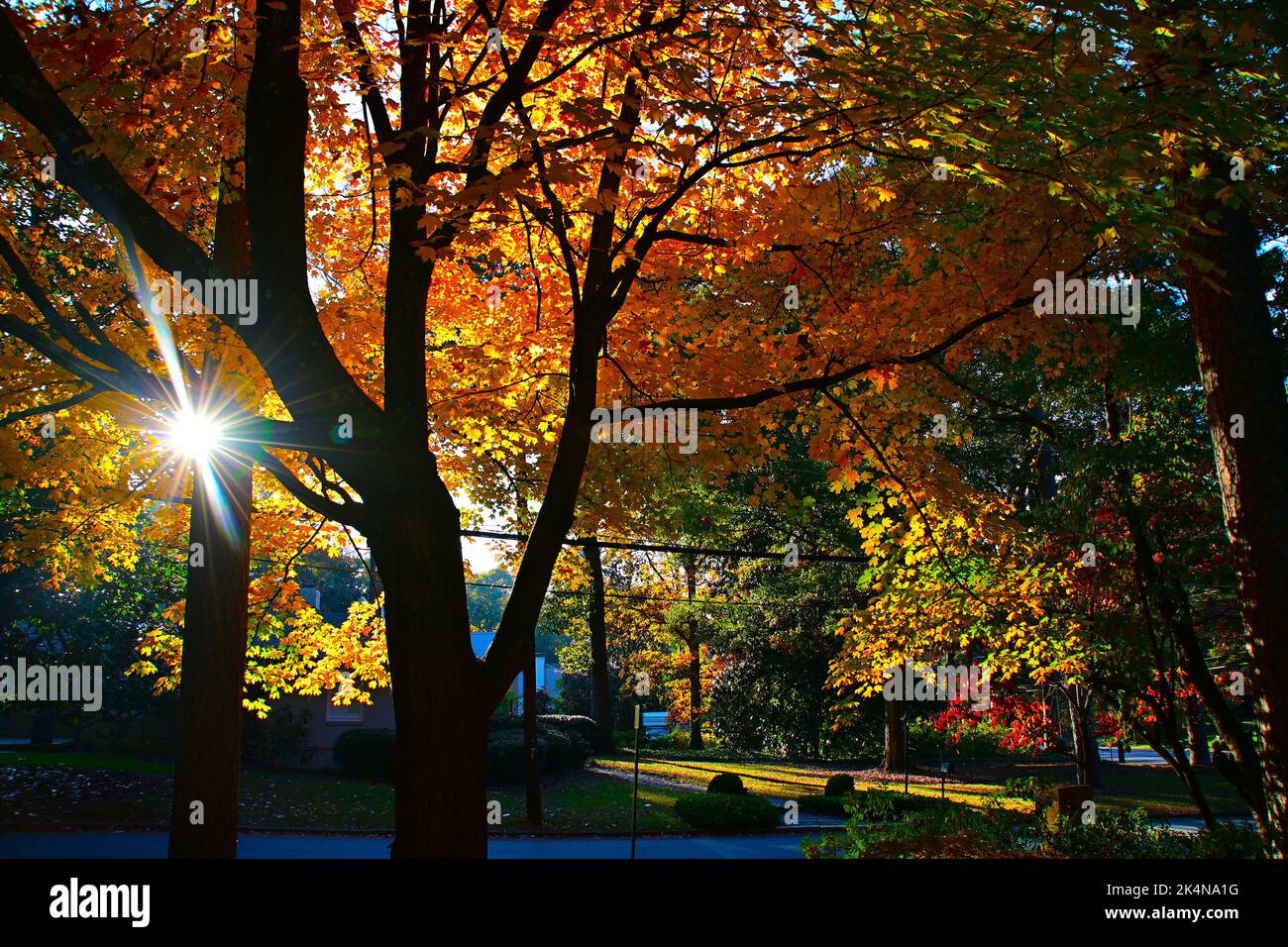 Season of renewal hi-res stock photography and images - Alamy