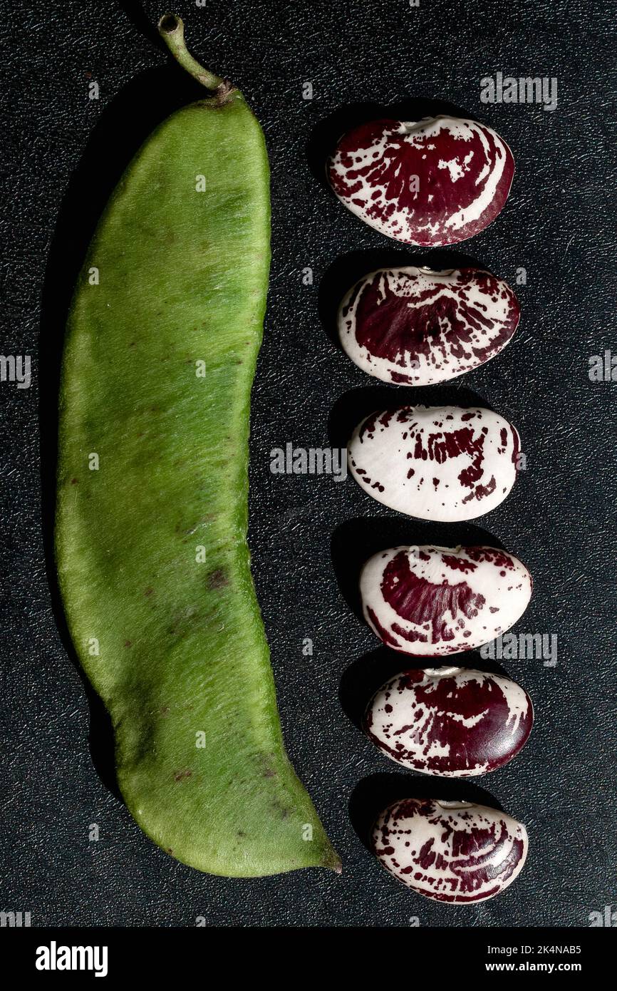 Lima beans (Phaseolus lunatus) on a dark background Stock Photo - Alamy