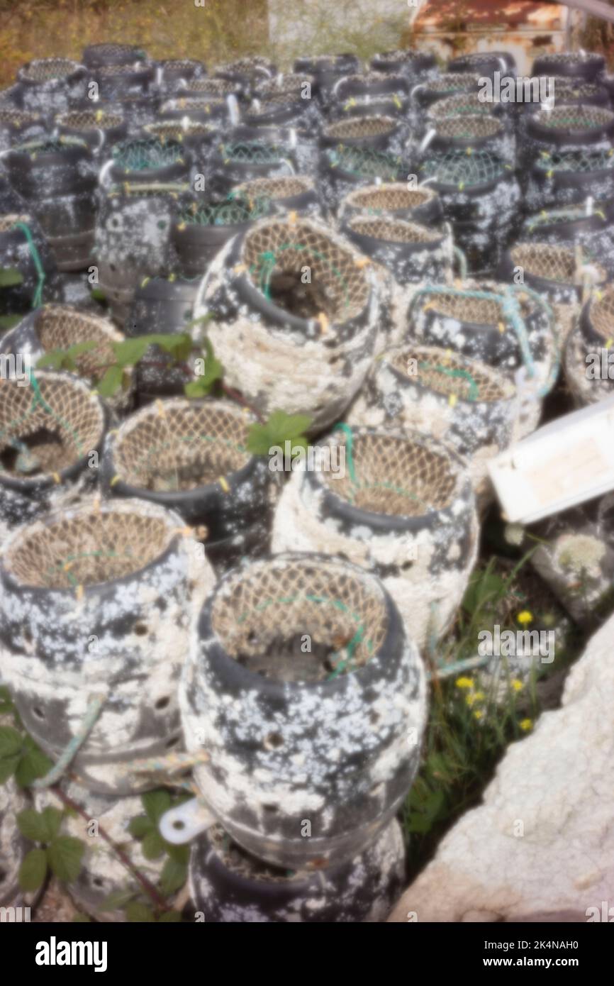 Age-defying, digital age, premium quality, eye-catching, stand-out ...