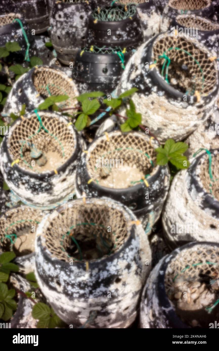 Age-defying, digital age, premium quality, eye-catching, stand-out ...