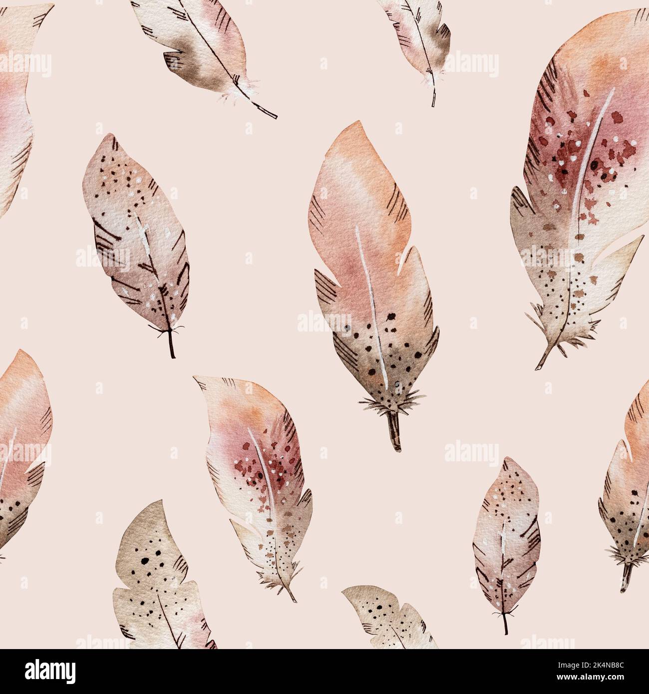 Watercolor feather paintings Stock Photo - Alamy