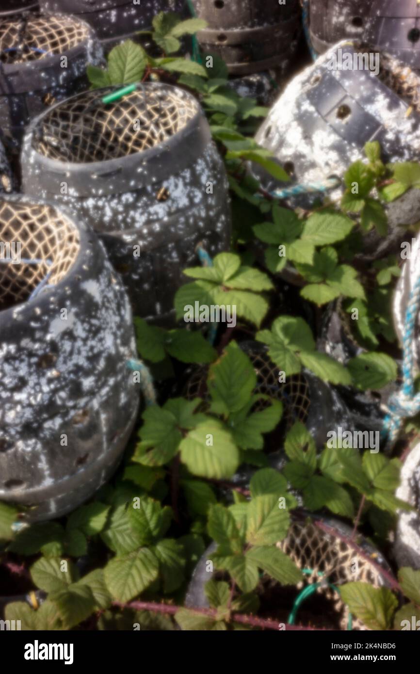 Age-defying, digital age, premium quality, eye-catching, stand-out ...