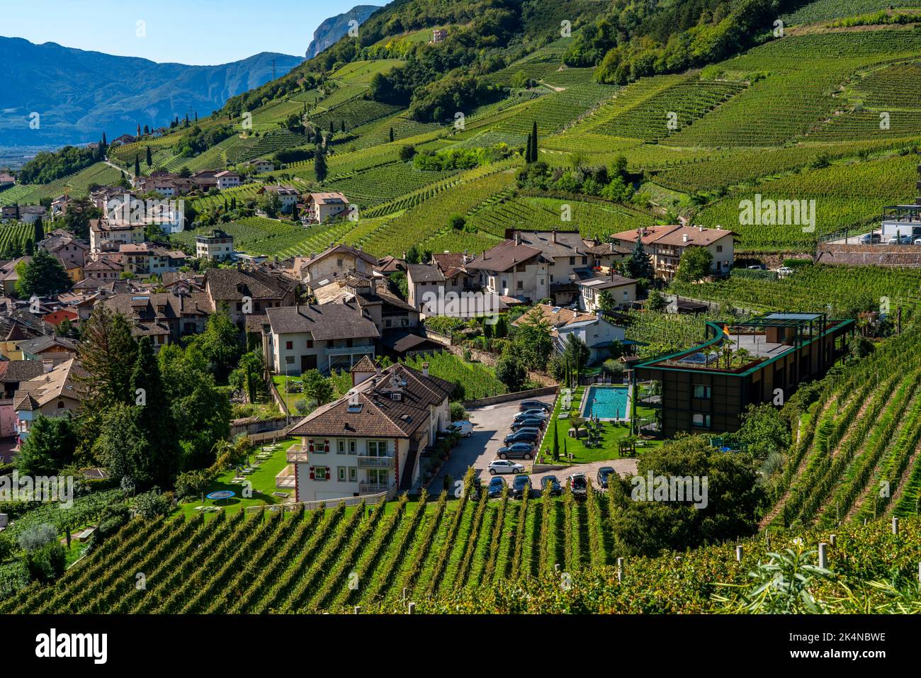 The village of Tramin an der Weinstraße, in South Tyrol, Gewürztraminer ...