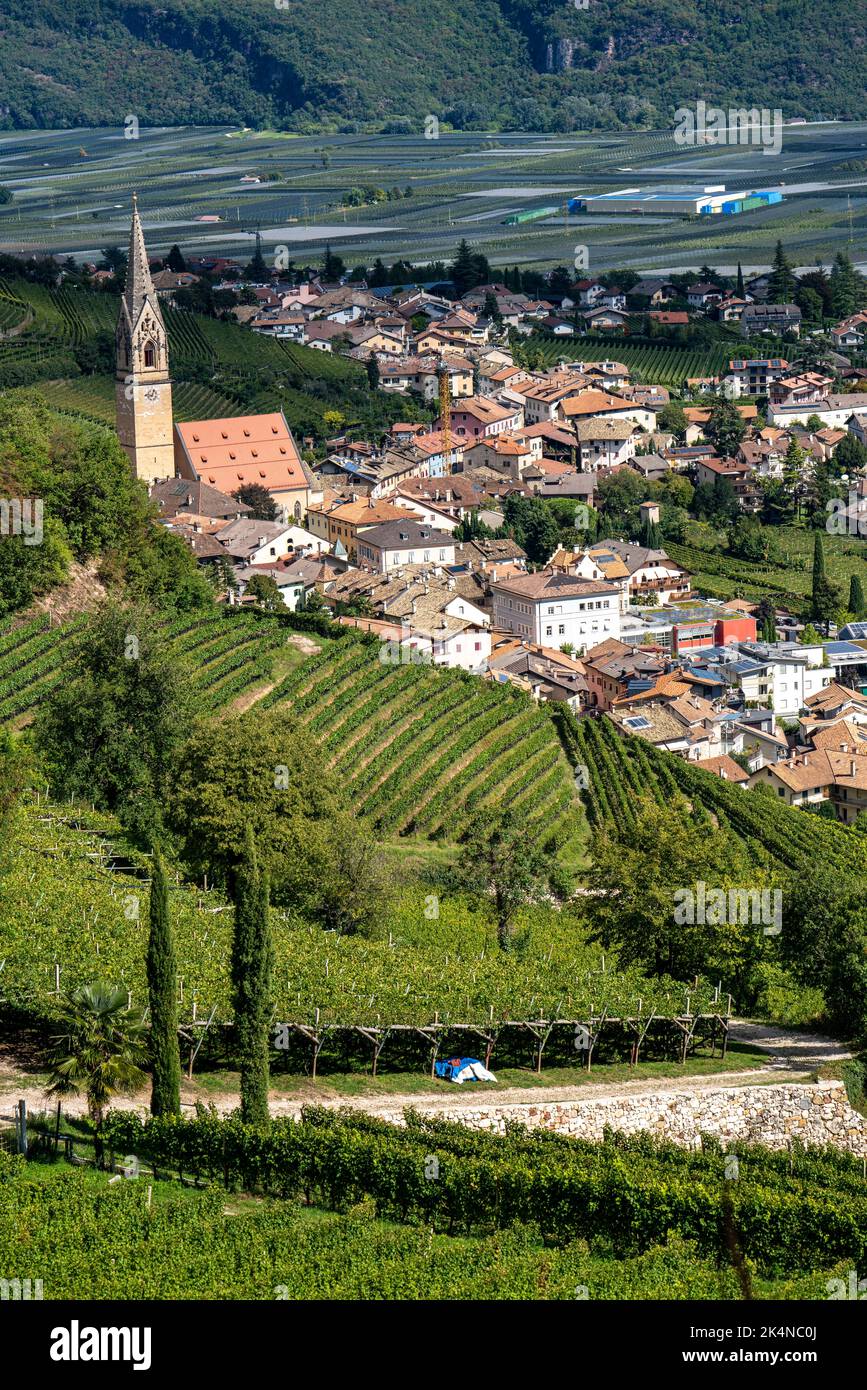 The village of Tramin an der Weinstraße, in South Tyrol, Gewürztraminer ...