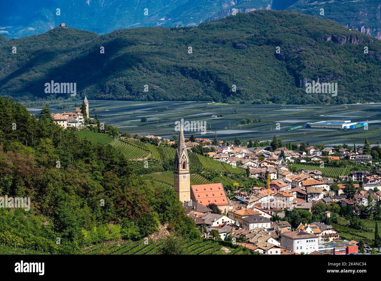 The village of Tramin an der Weinstraße, in South Tyrol, Gewürztraminer ...