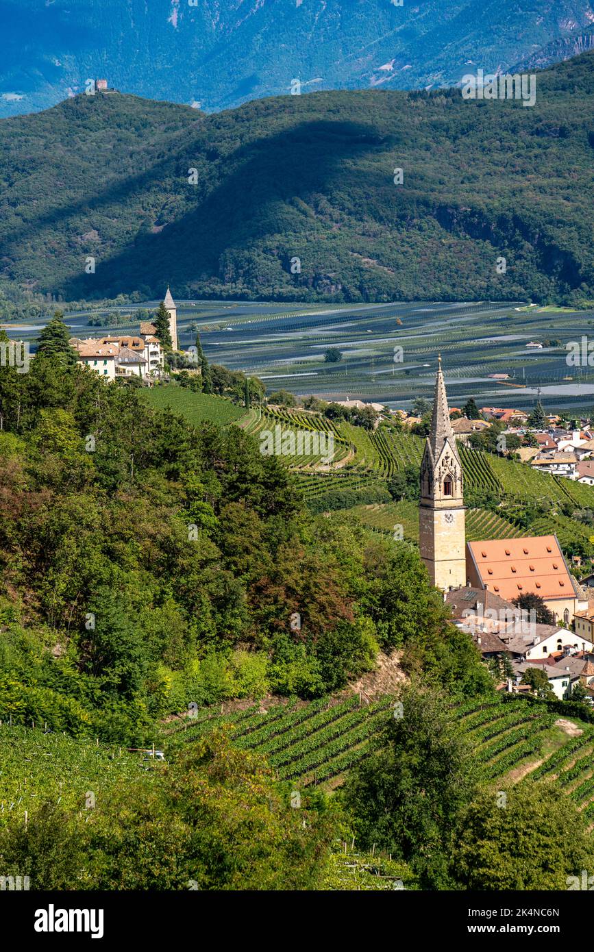 The village of Tramin an der Weinstraße, in South Tyrol, Gewürztraminer ...