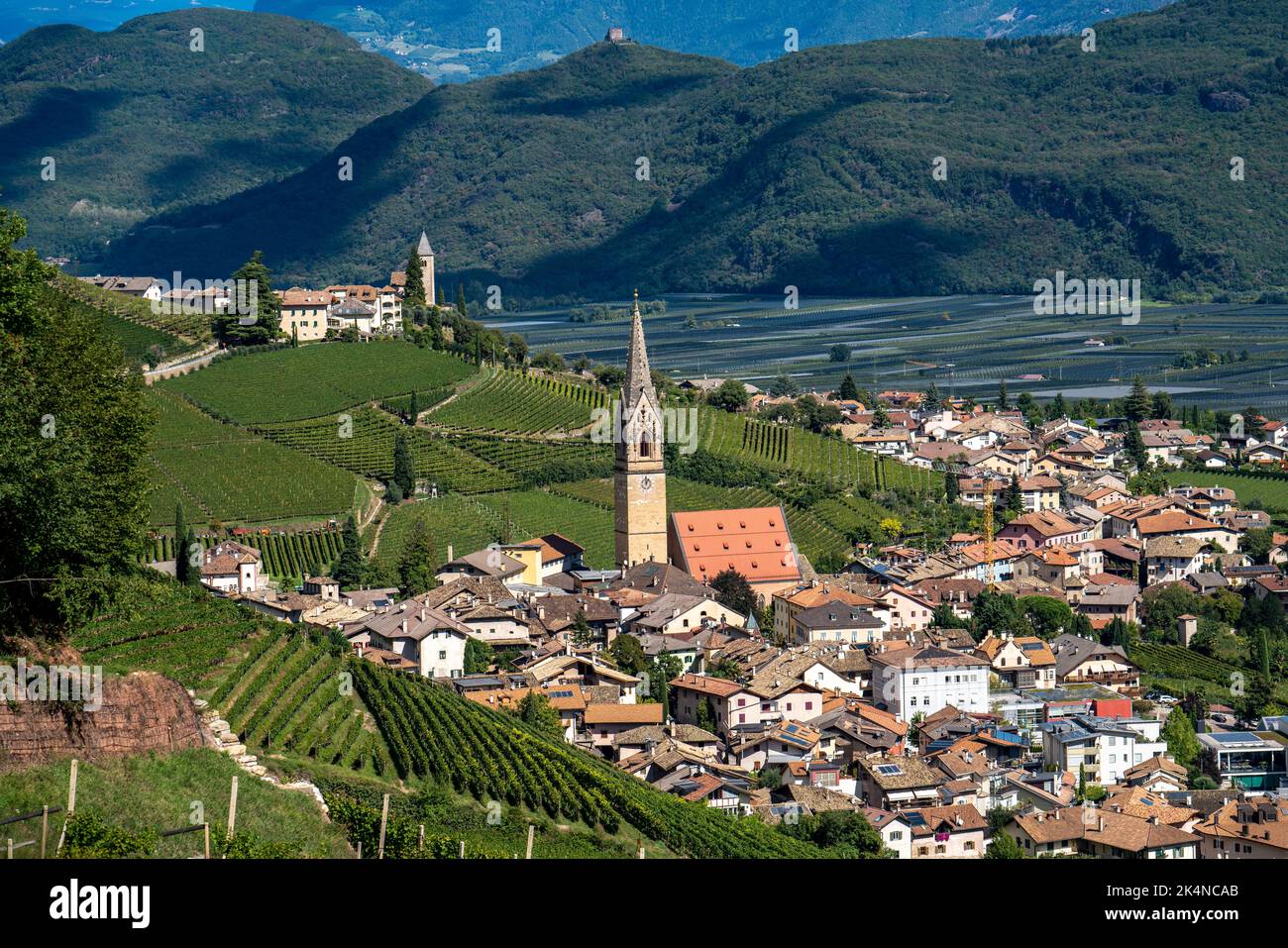 The village of Tramin an der Weinstraße, in South Tyrol, Gewürztraminer ...