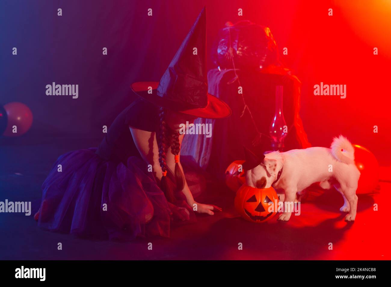 Scary dog and child hi-res stock photography and images - Alamy