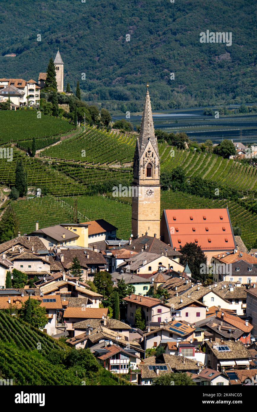 The village of Tramin an der Weinstraße, in South Tyrol, Gewürztraminer ...