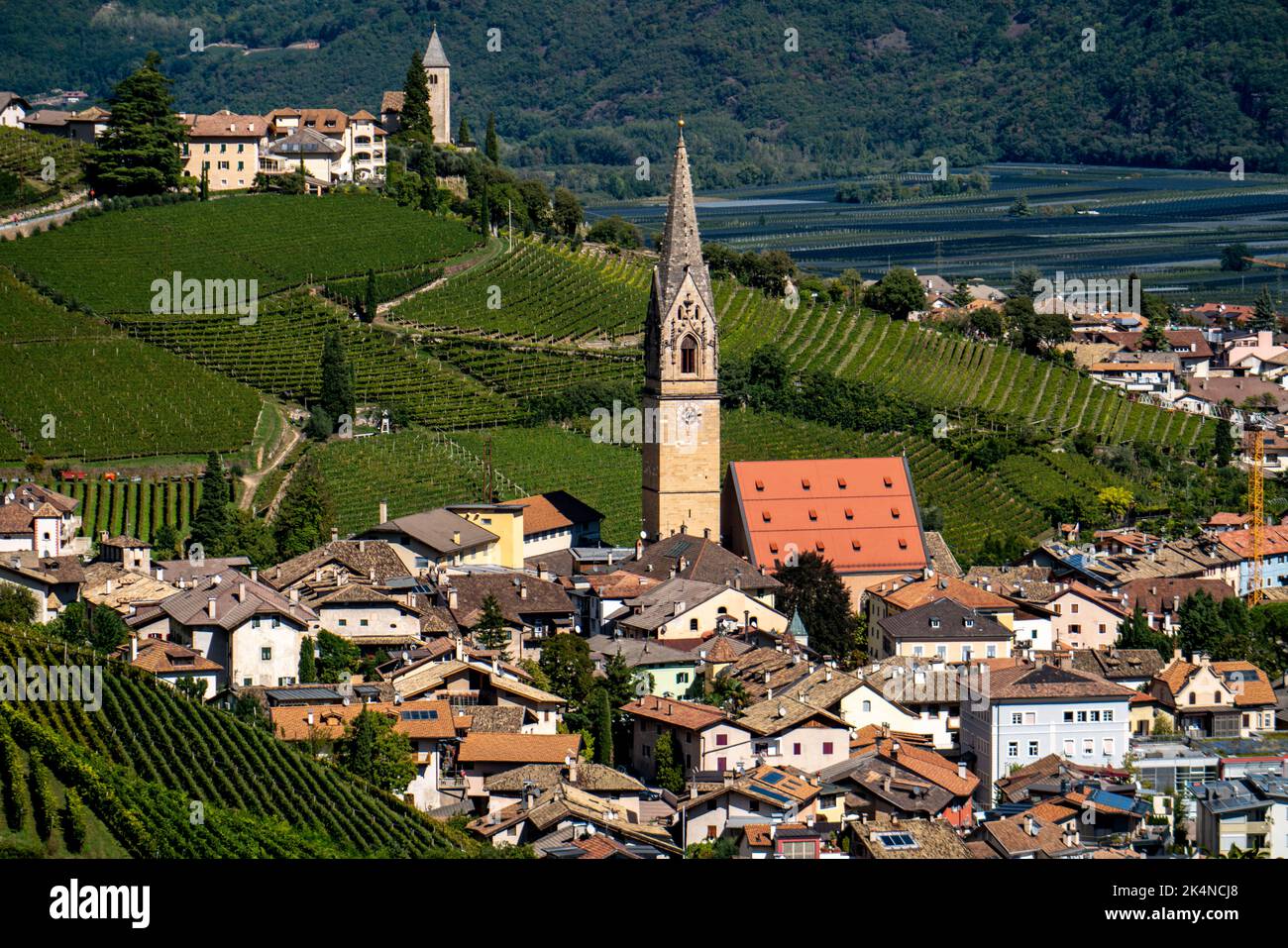 The village of Tramin an der Weinstraße, in South Tyrol, Gewürztraminer ...