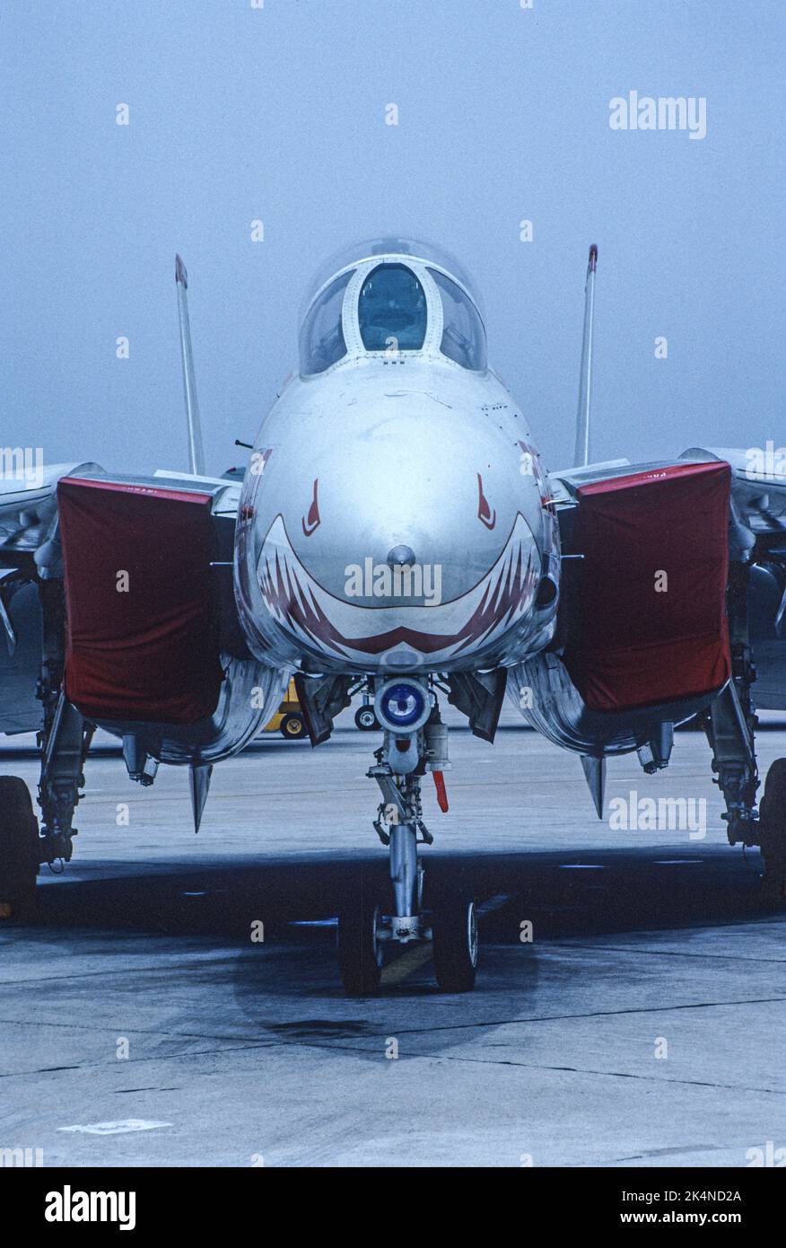 Grumman F-14 Nose of jet parked on the tarmac at NAS Miramar in San ...