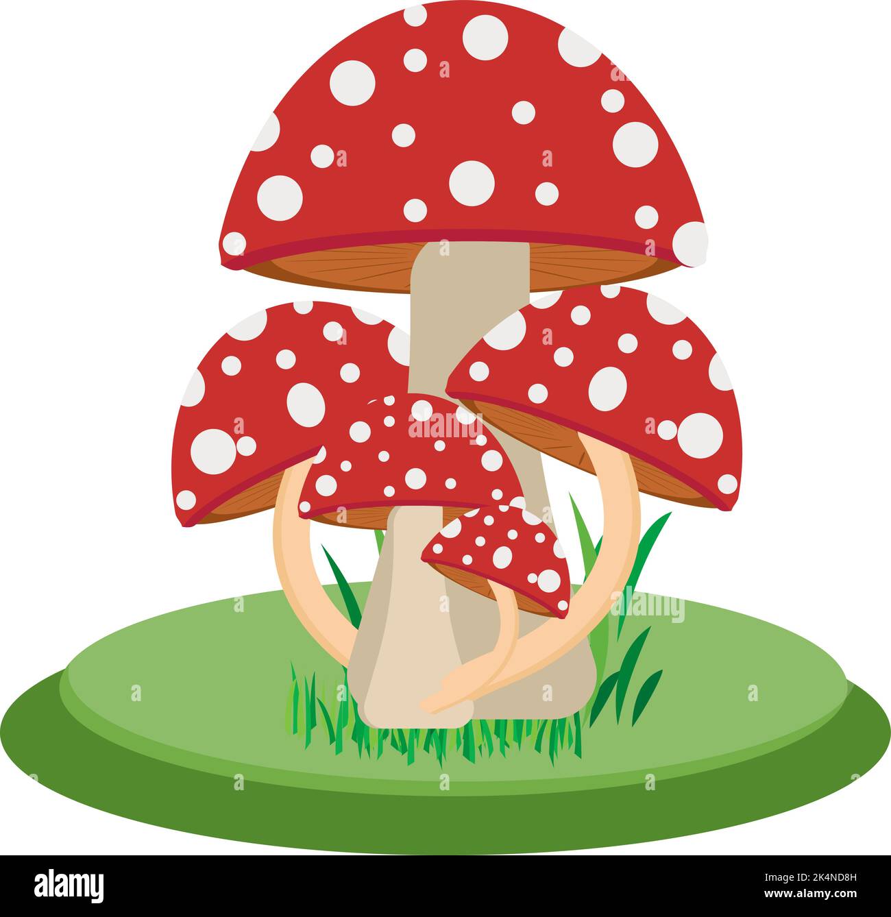 Red mushrooms on forest Stock Vector Images - Alamy