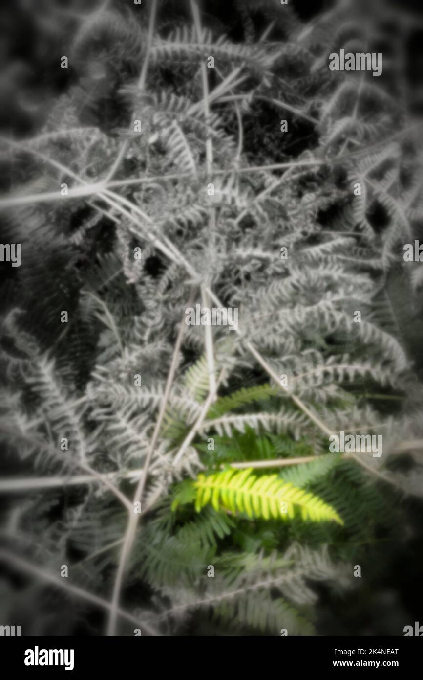 Age-defying, digital, premium, eye-catching, stand-out, high resolution ...