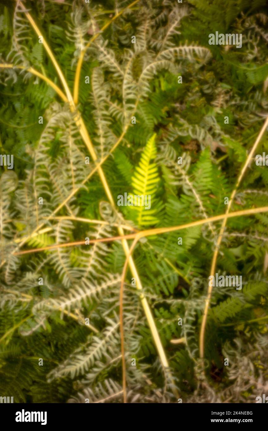 Age-defying, digital, premium, eye-catching, stand-out, high resolution ...