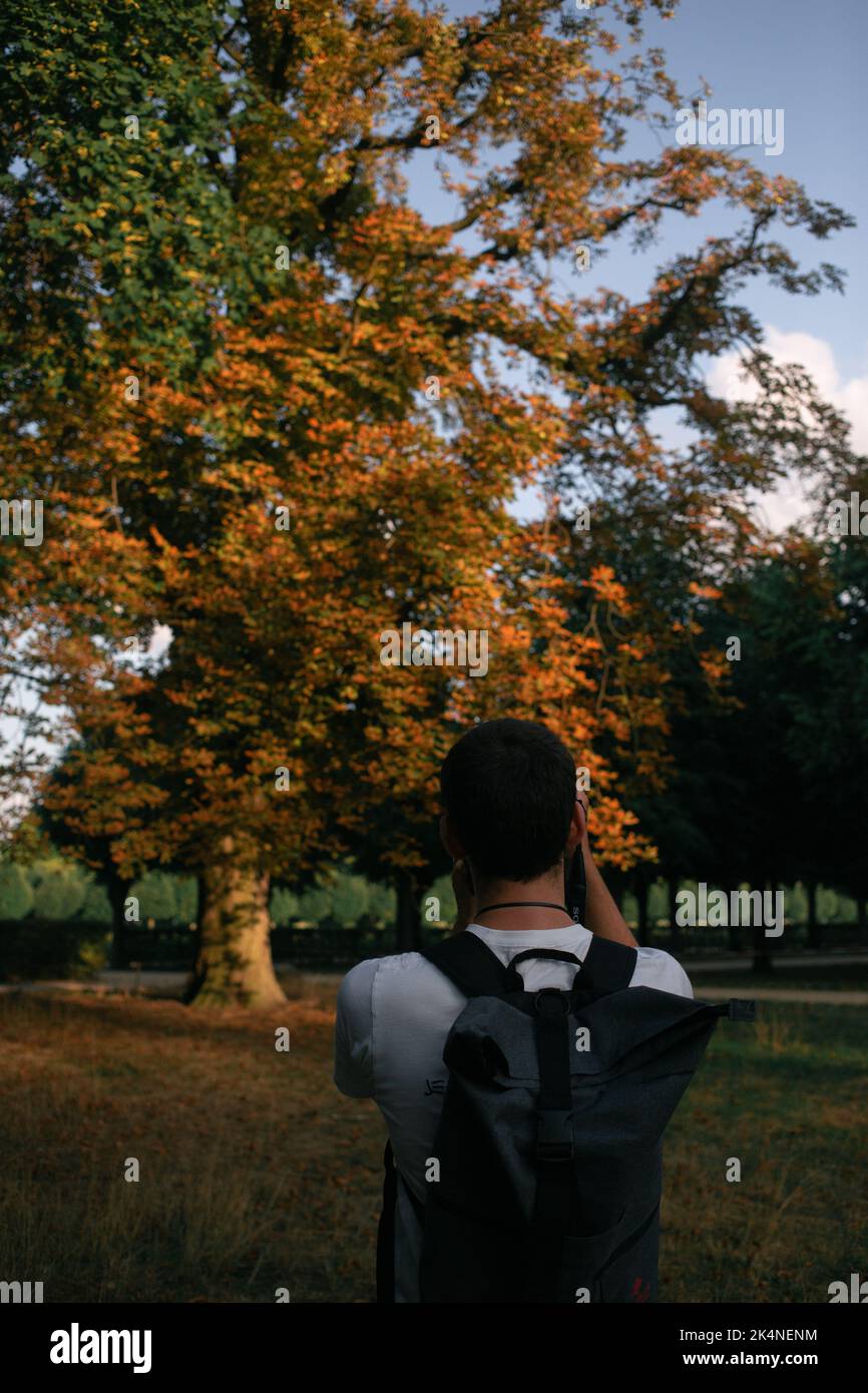 A yping photographer with backbag shootong a long autumn tree in the ...
