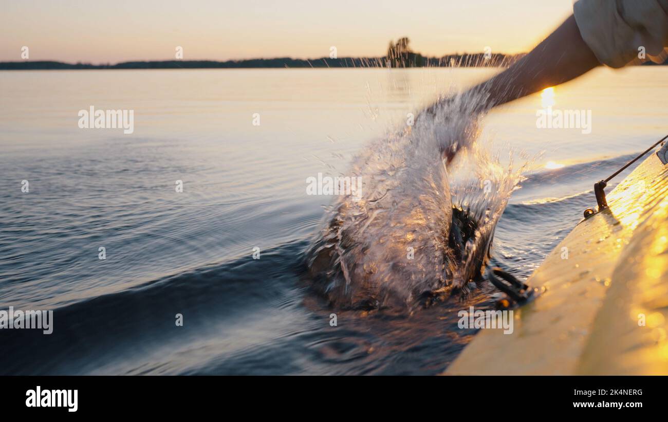 Excited person splashes water sailing on river at sunset. Man drifts on ...
