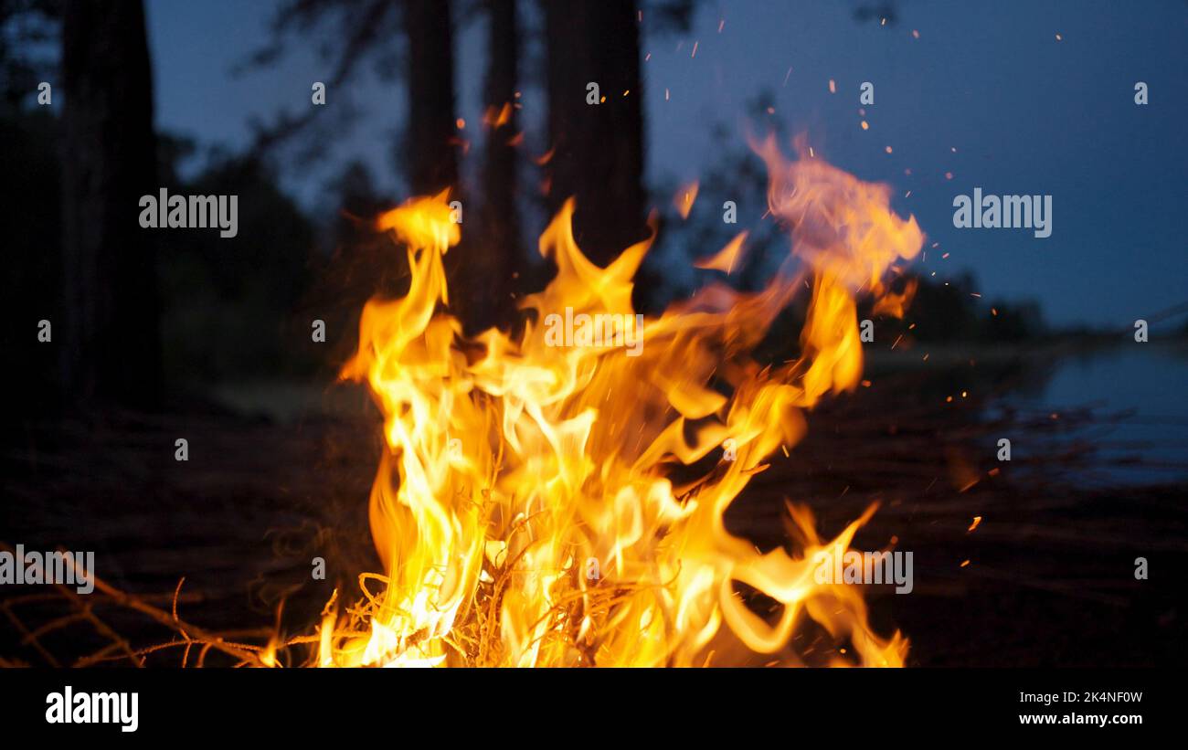 Campfire lights area and wavers among trees near lake at night. Wind ...