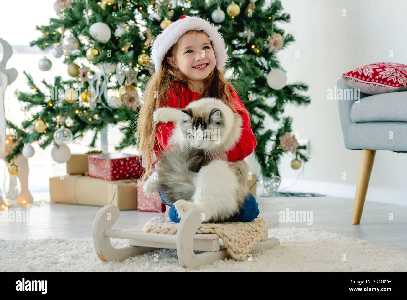 Child with ragdoll cat in Christmas time Stock Photo - Alamy