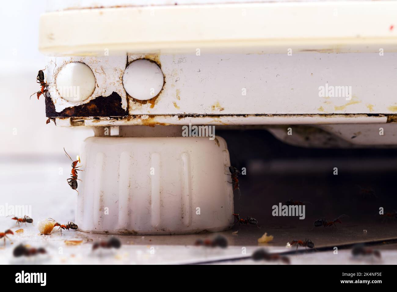 Small fridge full up hi-res stock photography and images - Alamy