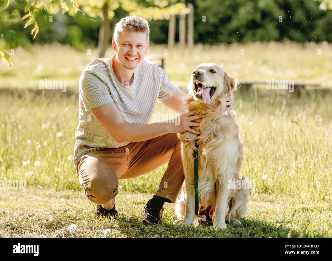 Man walking golden retriever Stock Photo - Alamy