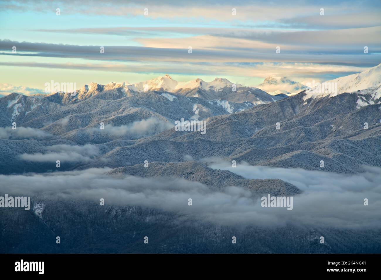 Snow-covered mountain forest. Clouds covered the valley, mountain peaks ...