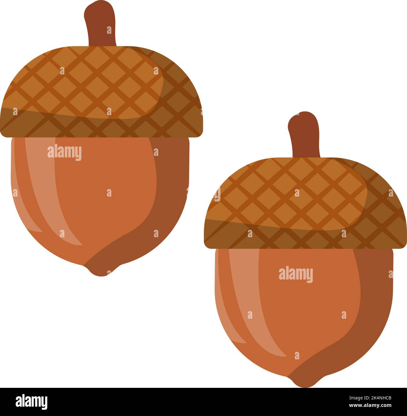 Two acorns, illustration, vector on a white background Stock Vector ...